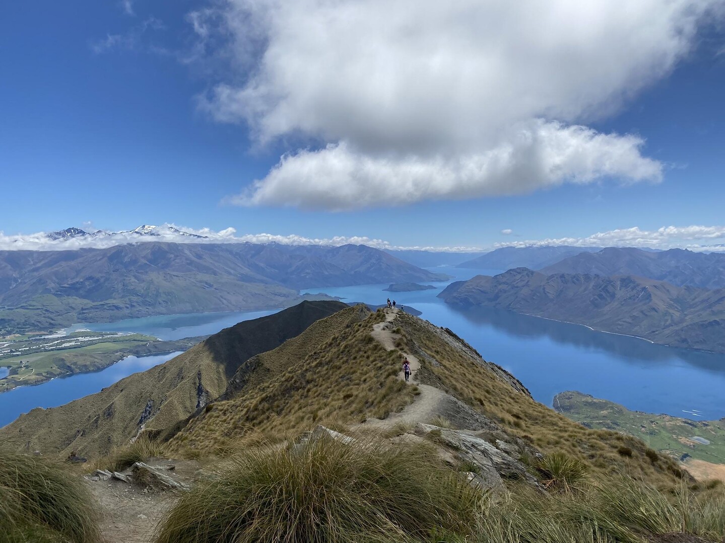 NZ🇳🇿ロイス・ピーク / ゆさんのロイス・ピークの活動データ | YAMAP / ヤマップ