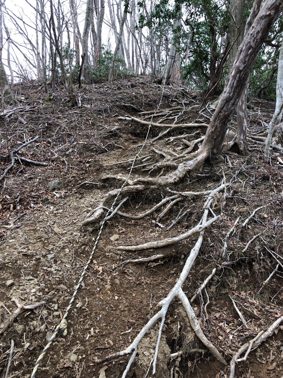 MKさんの投稿したフィールドメモ | YAMAP / ヤマップ