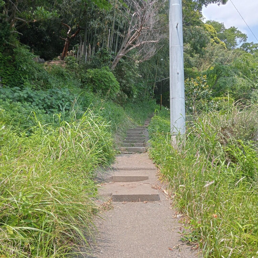 NORさんの投稿したフィールドメモ | YAMAP / ヤマップ