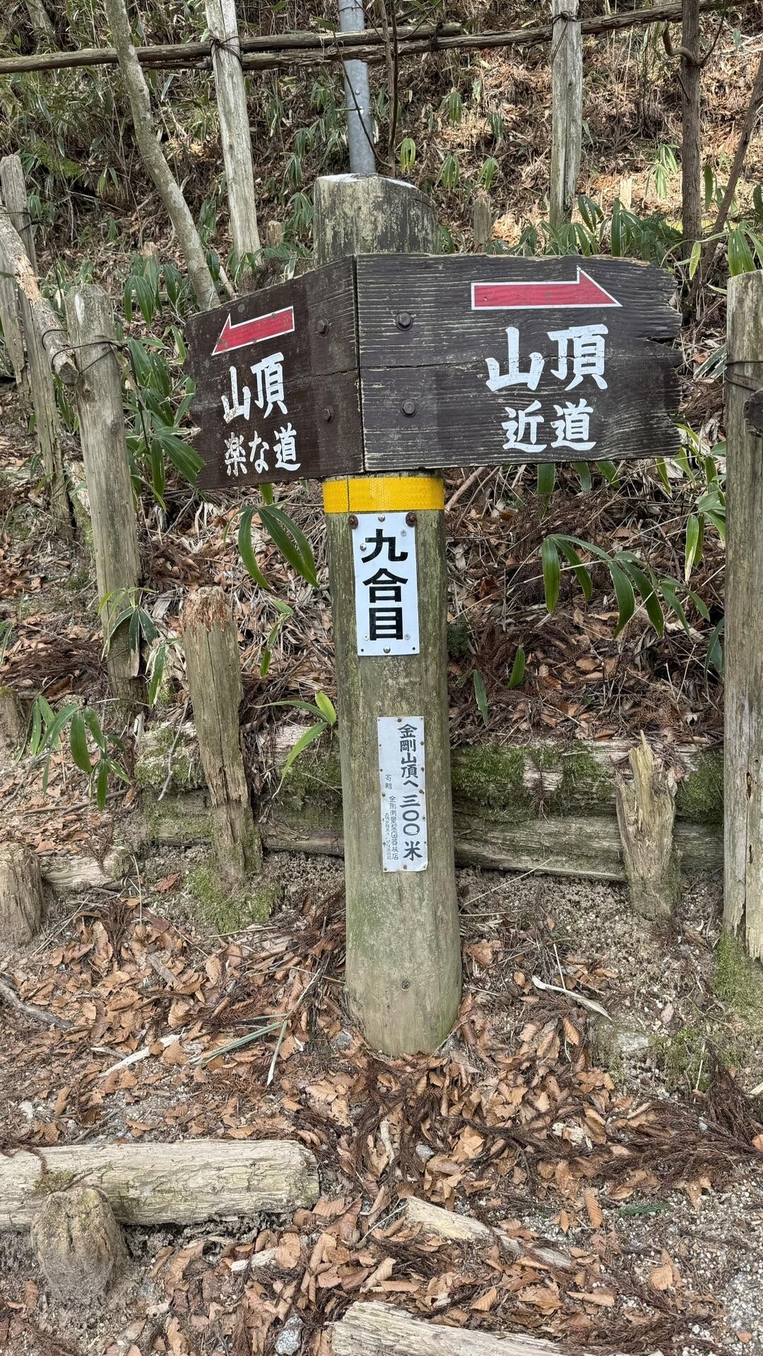 sarah🐶🧢🕶😎さんの投稿したフィールドメモ | YAMAP / ヤマップ