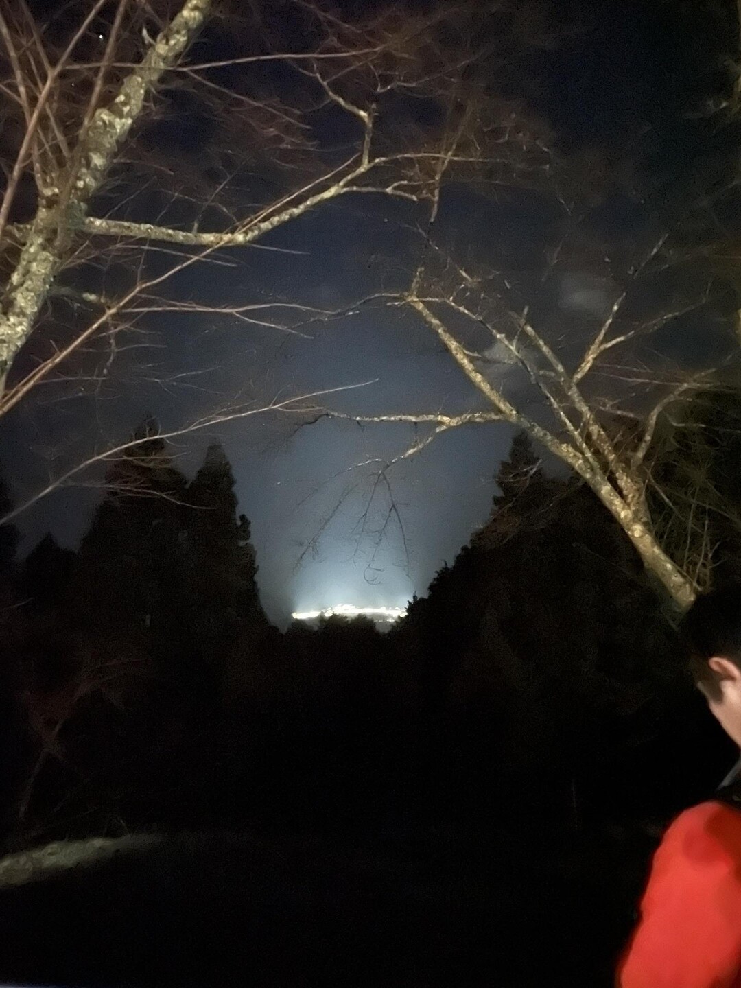 NO1/3立雲峡🅿️から展望台23.11.23 / マサムネさんの但馬竹田・竹田城・朝来山の活動日記 | YAMAP / ヤマップ