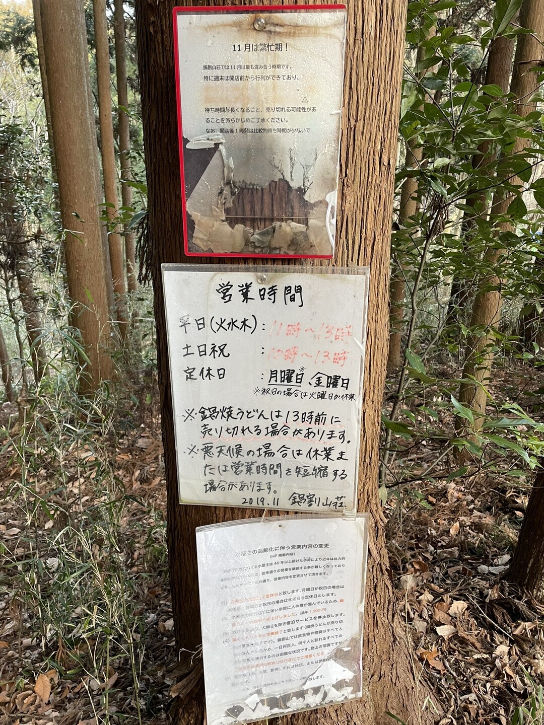 tsk-chaponさんの投稿したフィールドメモ | YAMAP / ヤマップ