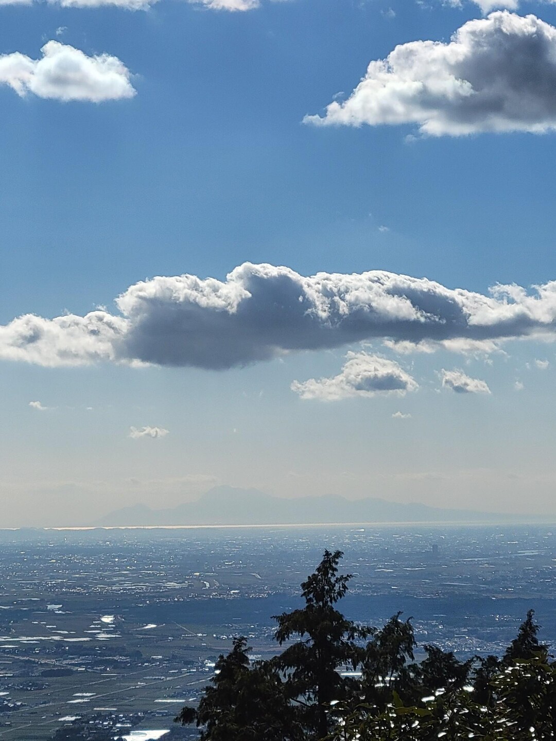 新春ぜんざい山行ー大根地山 / himeさんの大根地山の活動データ | YAMAP / ヤマップ