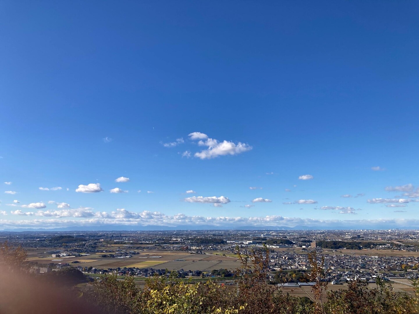 万灯山・万灯山最高点 / 1 hawkさんの茶臼山・万灯山の活動データ | YAMAP / ヤマップ