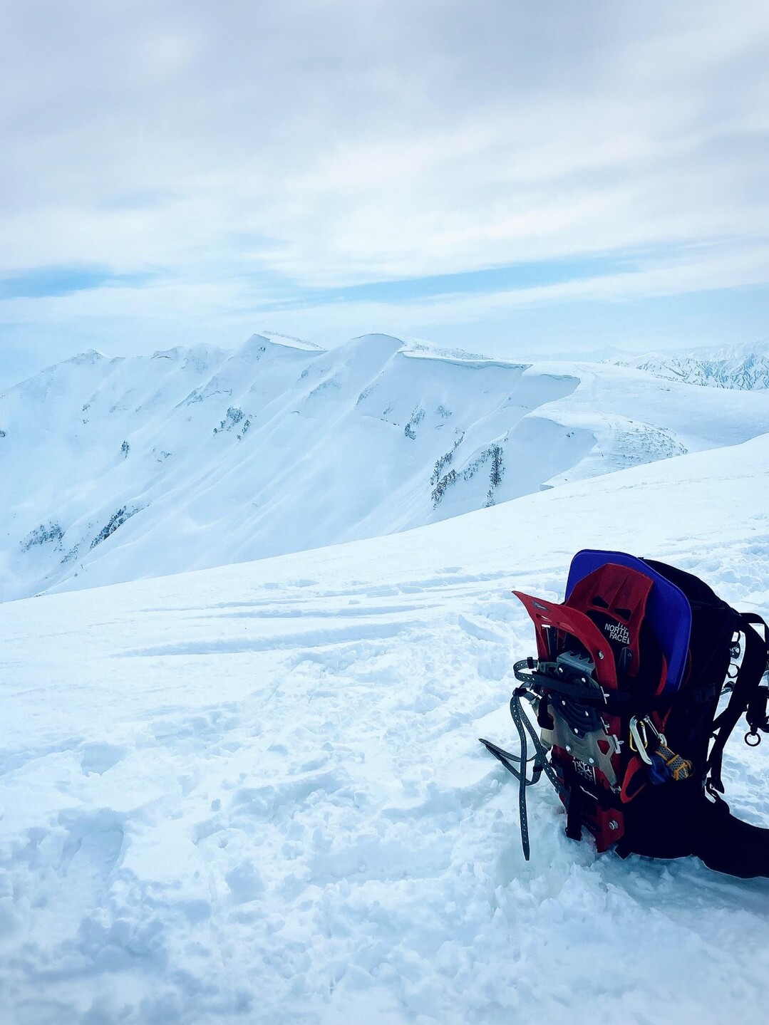 2024/4/3 TV放送 BS朝日 2... / naturaさんのモーメント | YAMAP / ヤマップ