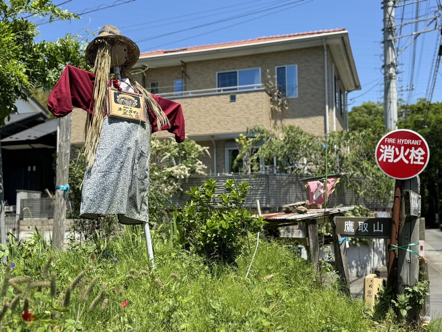 mooさんの投稿したフィールドメモ | YAMAP / ヤマップ