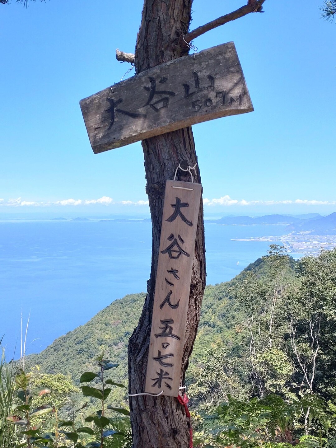 オオタニさん応援旅 / Tom Ookaさんの雲辺寺山の活動データ | YAMAP / ヤマップ