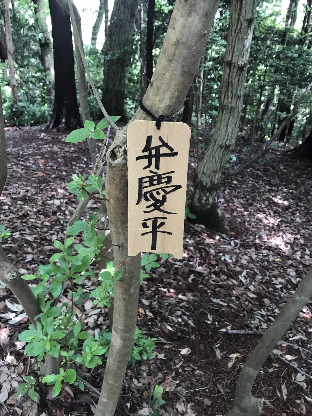 宝篋山・富岡山・尖浅間山 / tottuanさんの宝篋山・富岡山の活動データ | YAMAP / ヤマップ