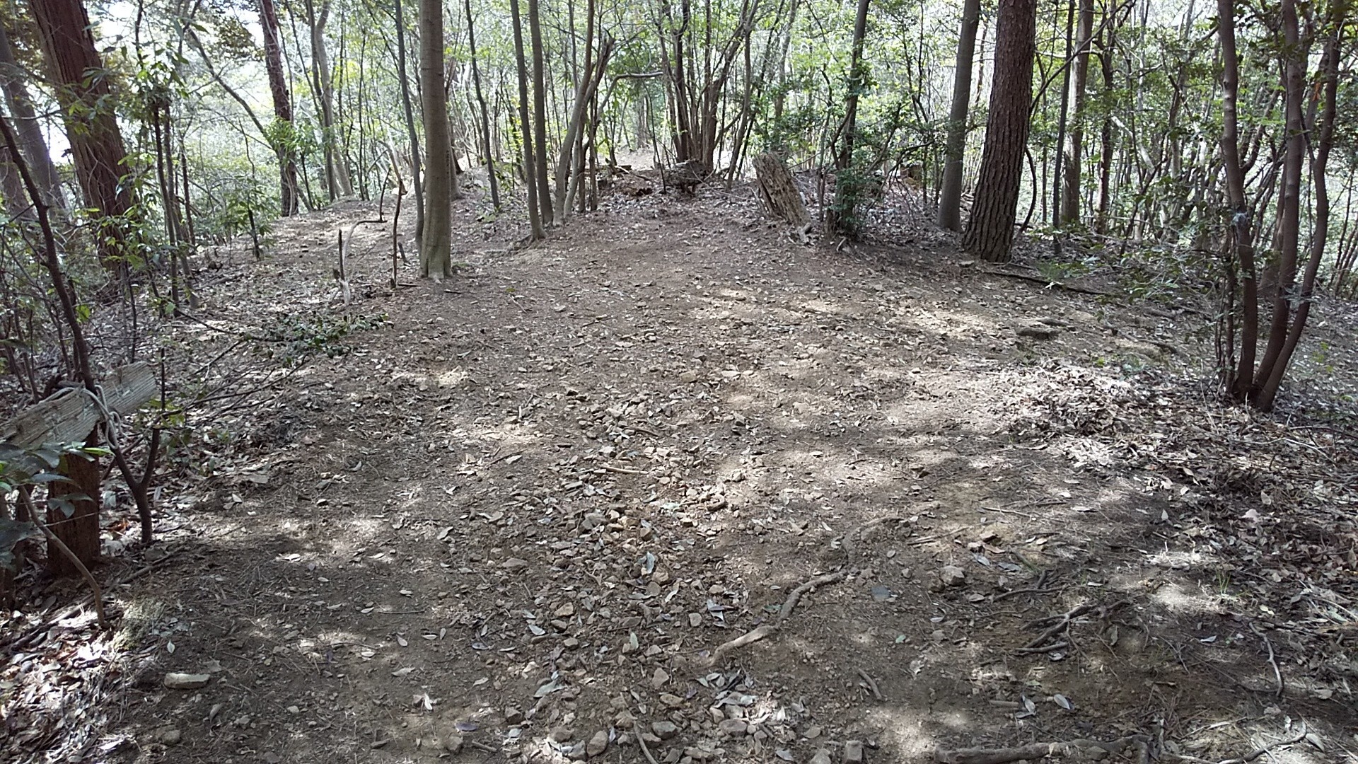 にゃたパパさんの投稿したフィールドメモ | YAMAP / ヤマップ