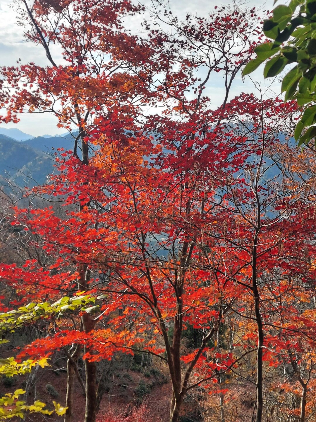 天狗堂・サンヤリ / AKEMIさんの天狗堂の活動データ | YAMAP / ヤマップ