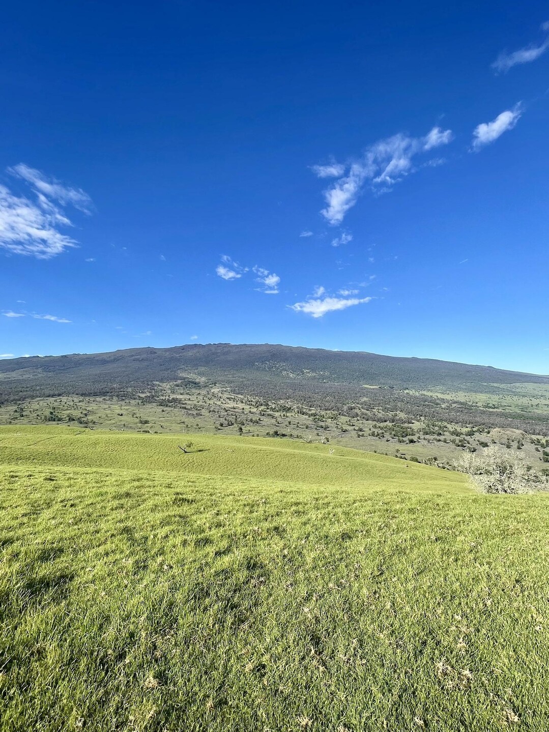 Pu'u Wa'awa'a（Bigisland、Hawaii） / まーちゃんさんのウォーキングの活動データ | YAMAP / ヤマップ