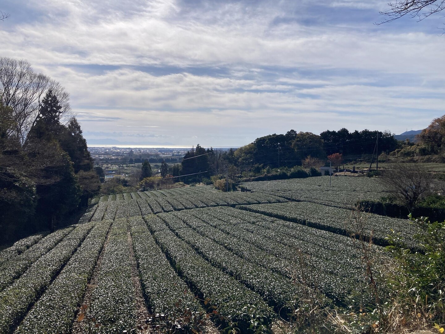岩本山散歩 / chi さんの岩本山・明星山の活動データ | YAMAP / ヤマップ