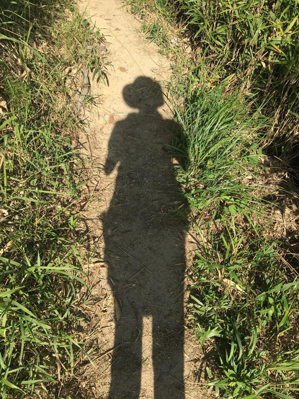 shoのページ | YAMAP / ヤマップ