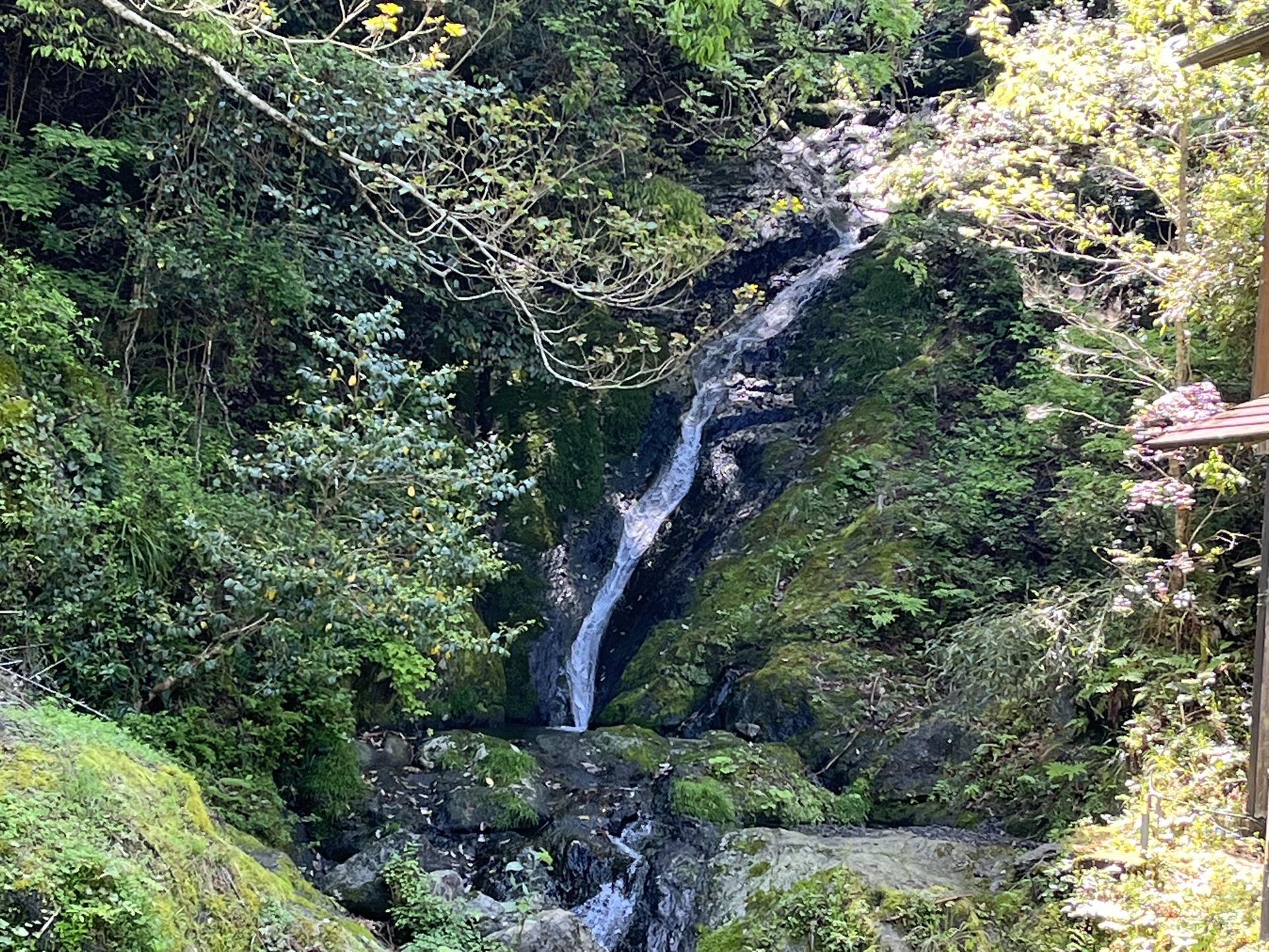 熊野古道 小辺路をちょっと ホテル昴〜玉垣内〜庵の湯 / greenmoonきくちゃんさんの熊野古道 小辺路の活動データ | YAMAP / ヤマップ