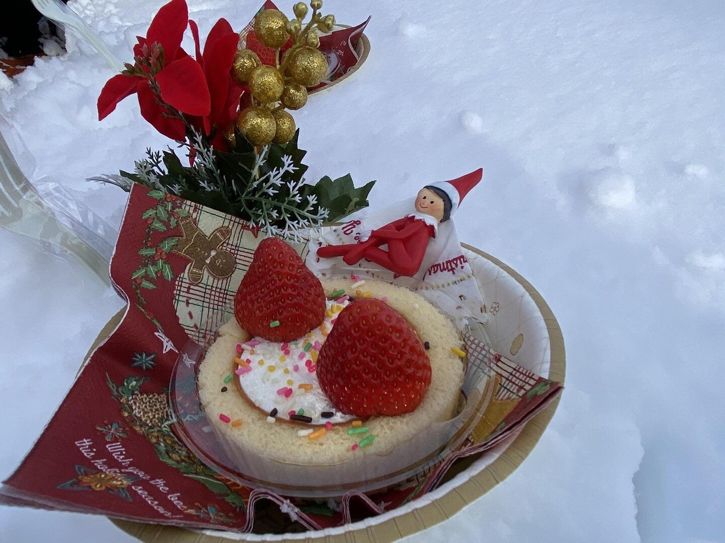 Happy 🎄Xmas eve 🧑‍🎄in薬萊山🥰 / マーチさんの薬莱山の活動データ | YAMAP / ヤマップ