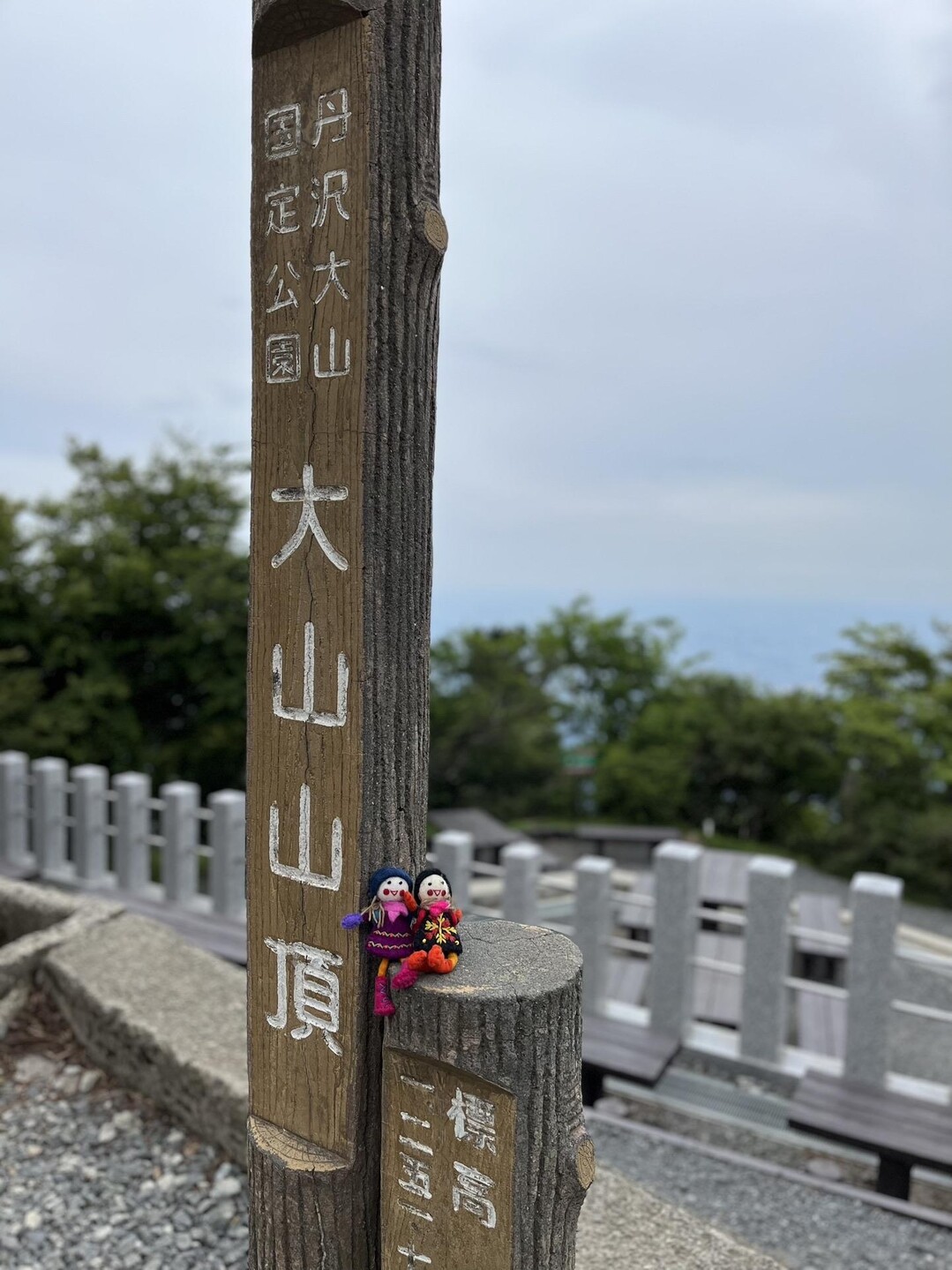 春嶽山・大山〜ヤビツ峠から / izumiさんの大山の活動データ | YAMAP / ヤマップ