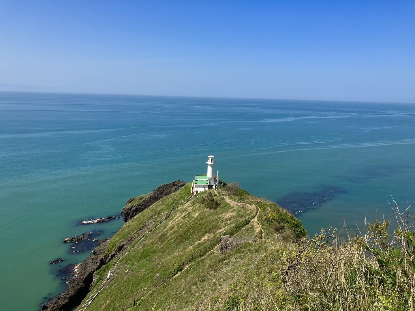 山、海、走 ︎角田山（長者原山） / Naluさんの角田山の活動データ | YAMAP / ヤマップ