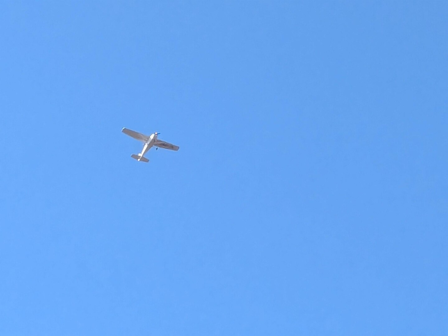 リカバリーで垣生山おさんぽ🍀 / w-miさんの弁天山の活動データ | YAMAP / ヤマップ