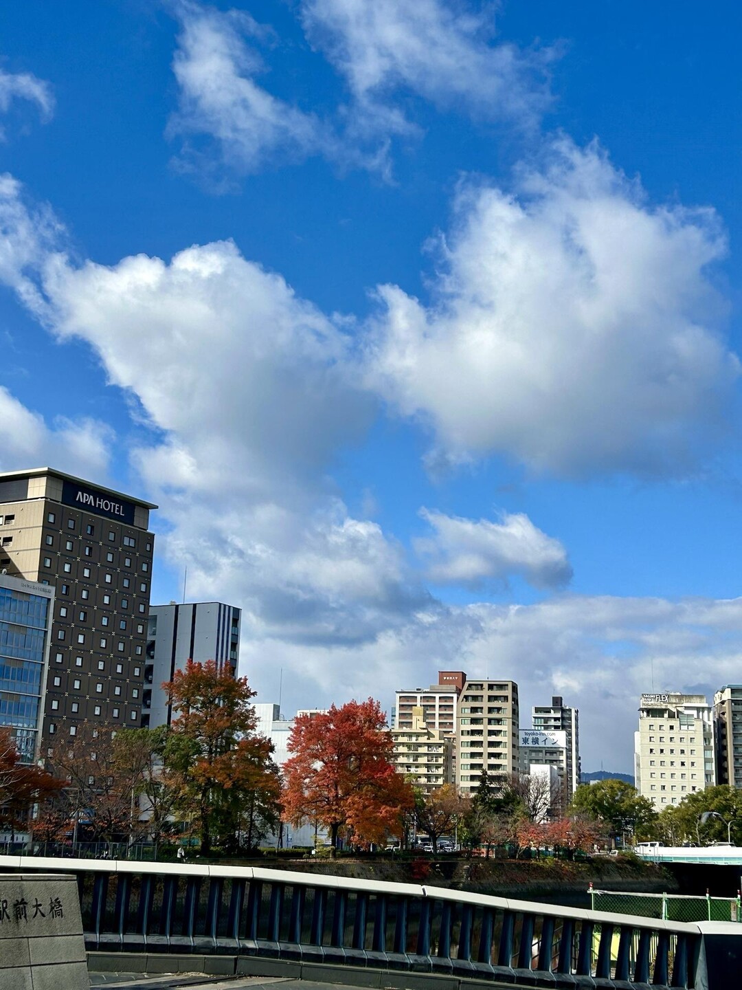 広島の気持ち良い朝を迎えました☀️ 友人... / Chiekoさんのモーメント | YAMAP / ヤマップ