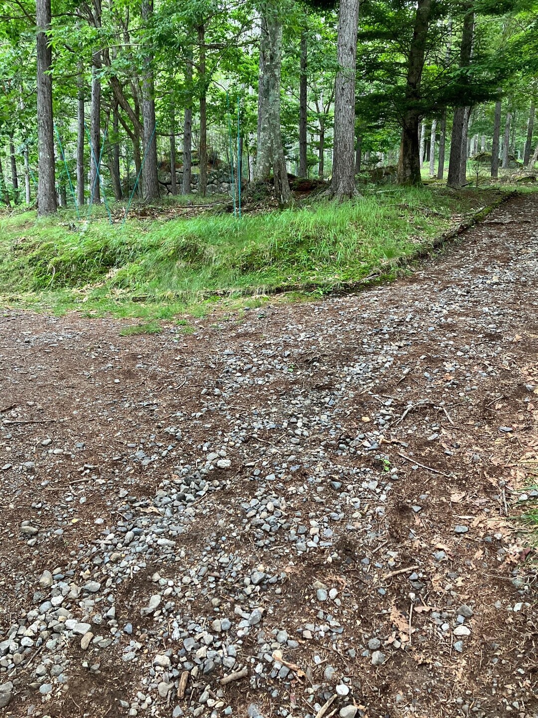 mayuさんの投稿したフィールドメモ | YAMAP / ヤマップ