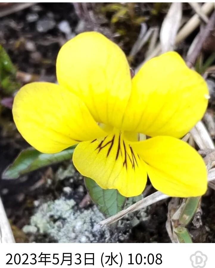 may.fのページ | YAMAP / ヤマップ