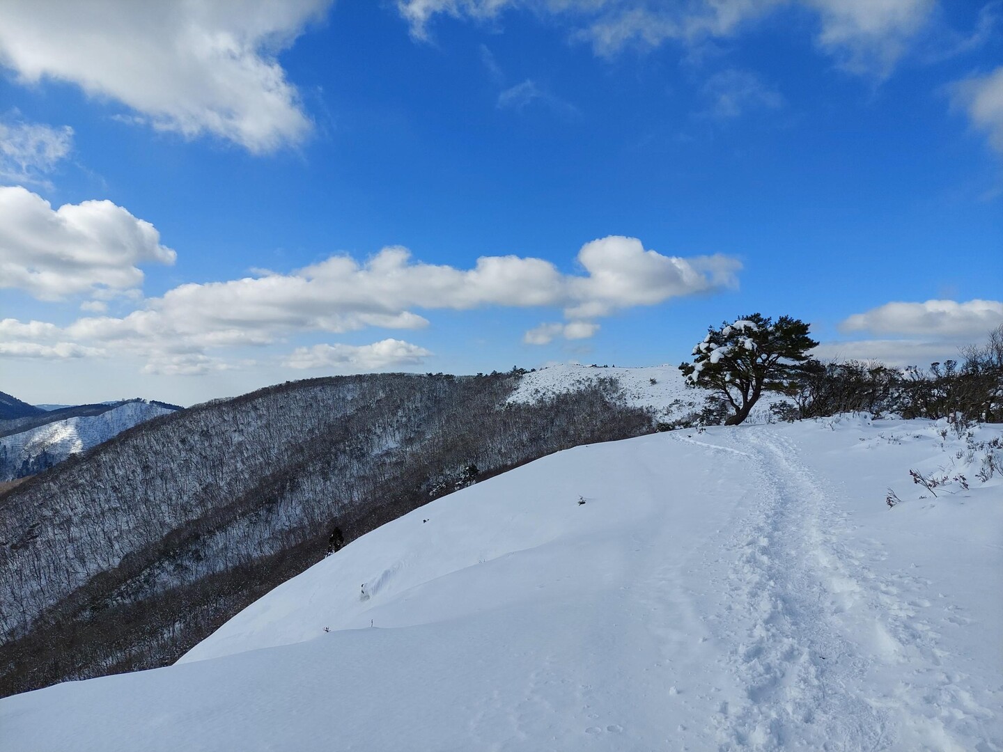 達磨ヶ峰・フトウガ峰・段ヶ峰 / sadaさんの段ヶ峰・笠杉山・千町ヶ峰の活動データ | YAMAP / ヤマップ