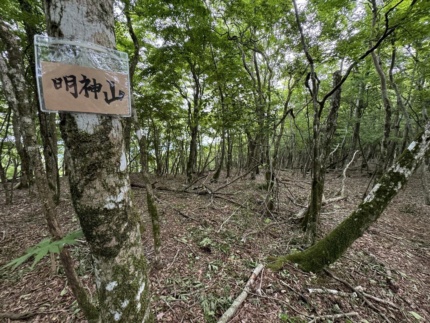 yujiさんの投稿したフィールドメモ | YAMAP / ヤマップ