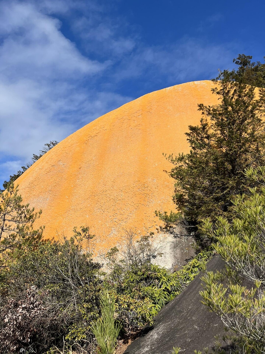木曽駒帰りに若山 / akkoさんの若山の活動データ | YAMAP / ヤマップ