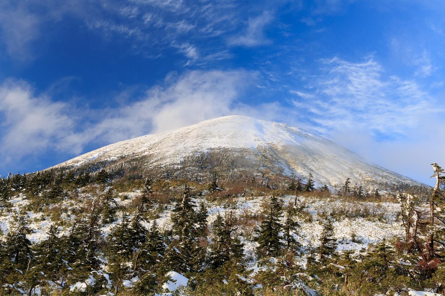 八甲田大岳、スノーシーズン開幕！ / すぎむさんの八甲田山・高田大岳・雛岳の活動データ | YAMAP / ヤマップ