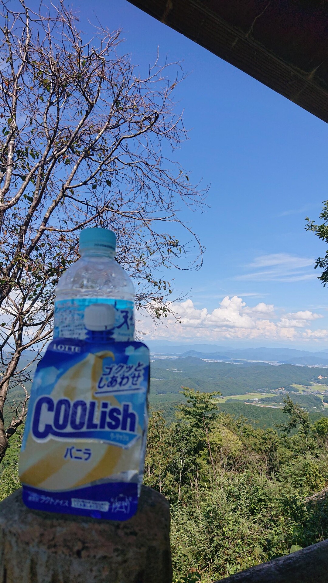 若須岳55 / shinさんの若須岳の活動データ | YAMAP / ヤマップ