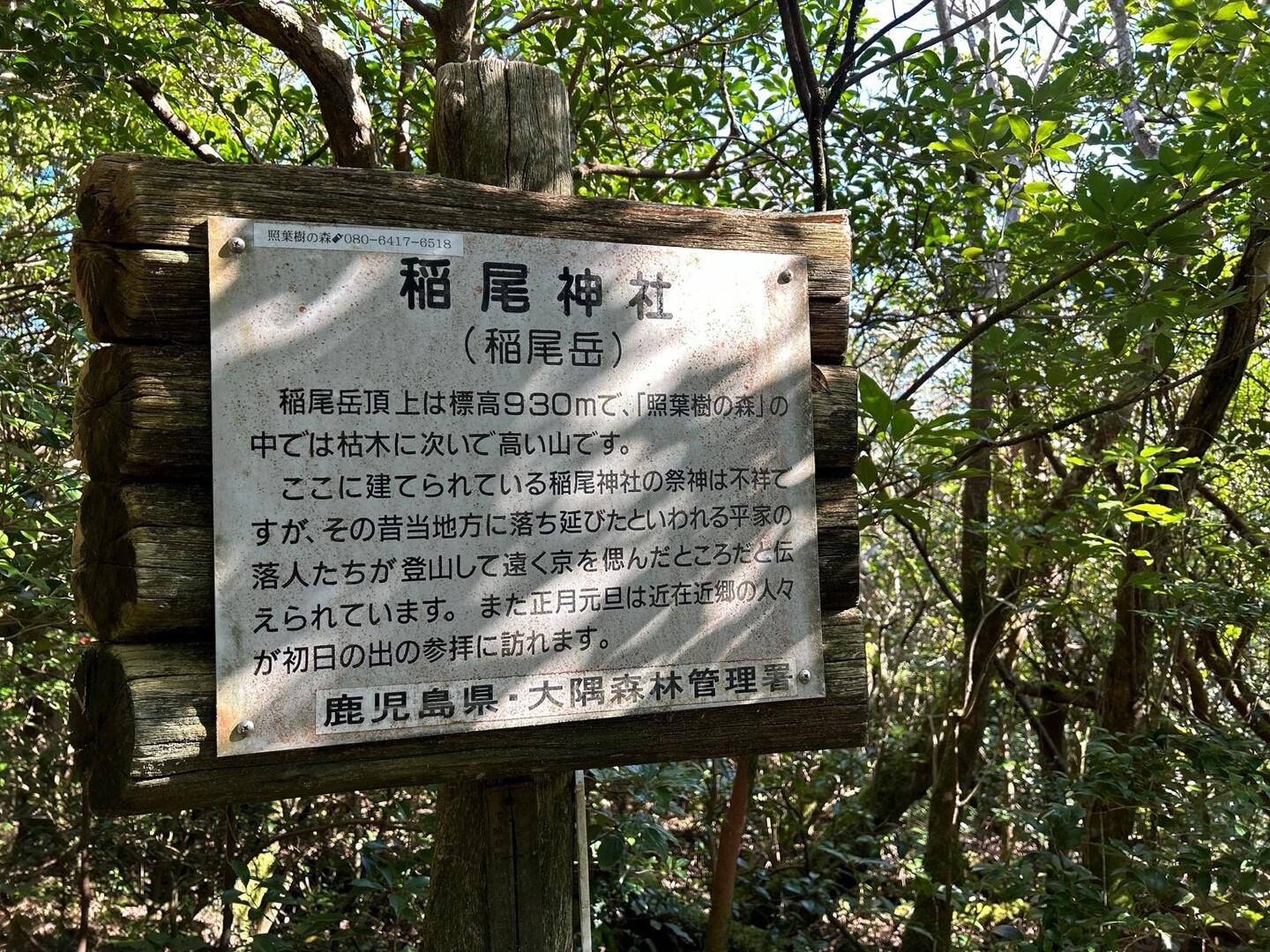 ⛰️💧枯木岳・稲尾岳 / 963さんの稲尾岳・枯木岳の活動日記 | YAMAP / ヤマップ