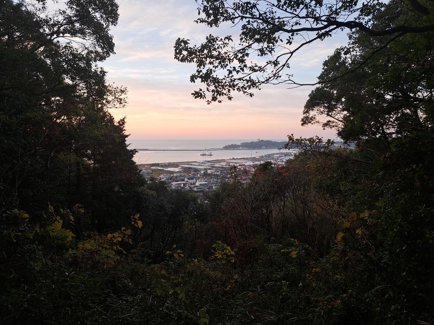 DSHさんの投稿したフィールドメモ | YAMAP / ヤマップ