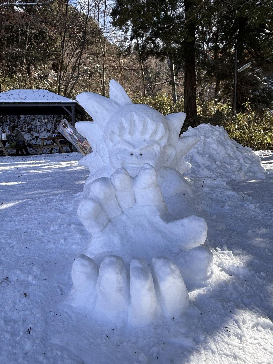 金剛山 かたくり尾根↗︎文殊尾根↘︎ / yamoriさんの金剛山・二上山・大和葛城山の活動データ | YAMAP / ヤマップ