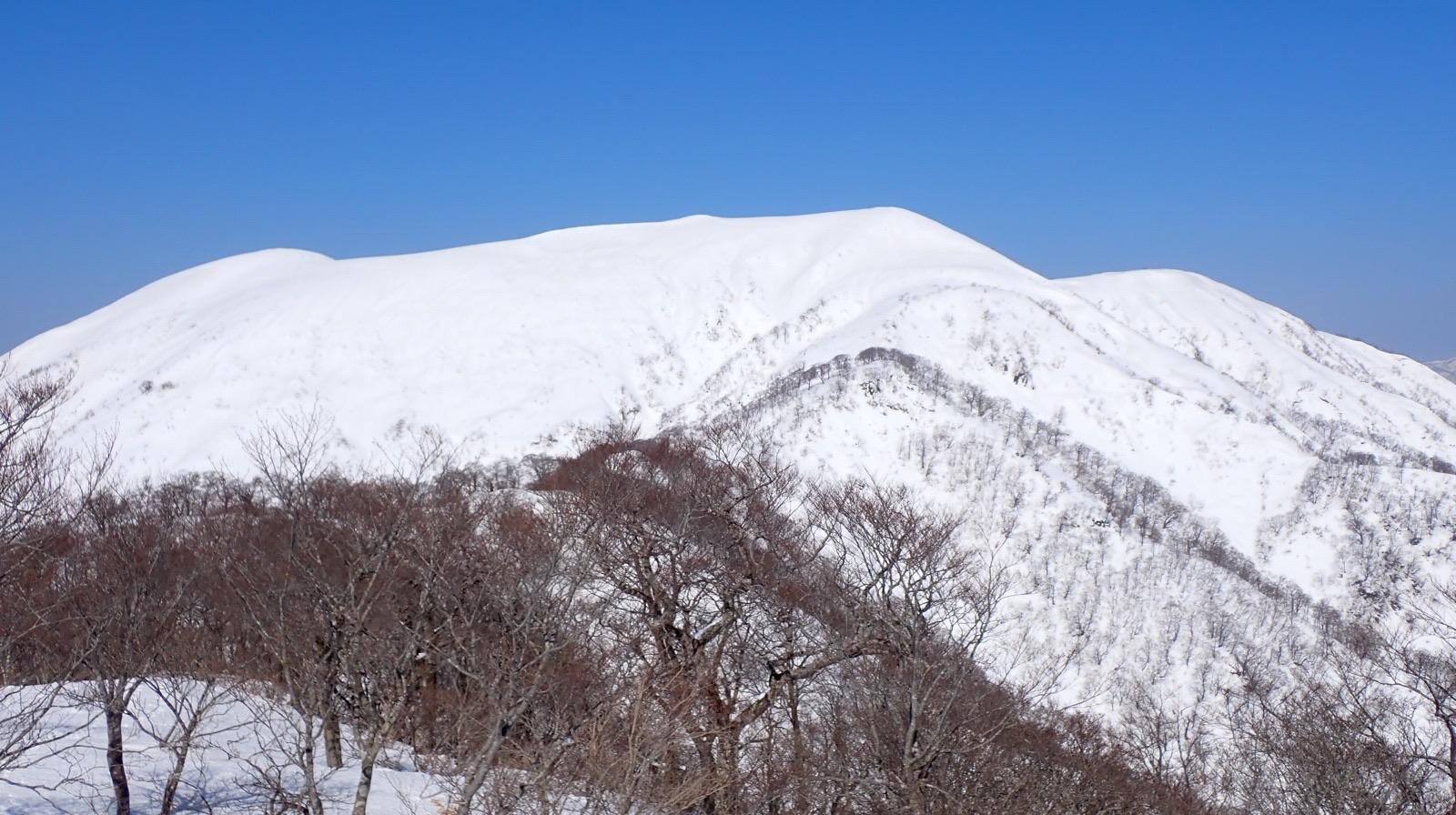 能郷白山 〜No!Go!Hakusan!!〜 / すぎちゃんさんの能郷白山の活動日記 | YAMAP / ヤマップ
