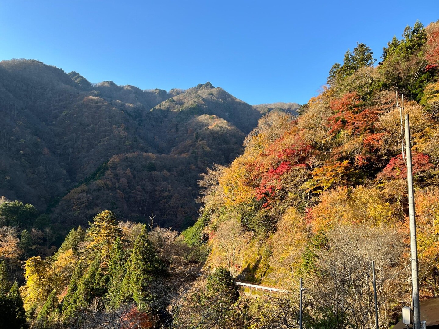 両神山 / Hideさんの両神山・諏訪山・二子山の活動データ | YAMAP / ヤマップ