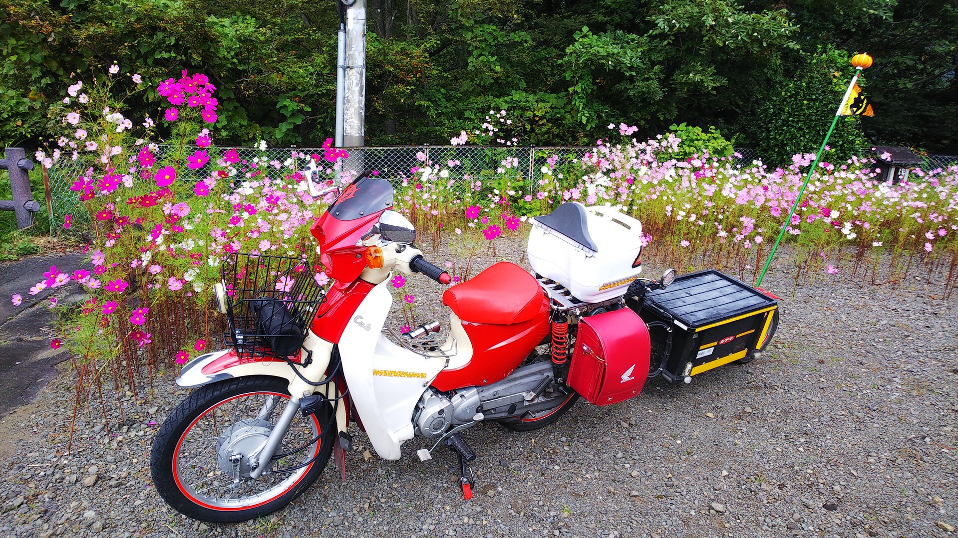 通勤前ワンシーン🏍️〰️ / Mt.ウーバー、さんのモーメント | YAMAP / ヤマップ