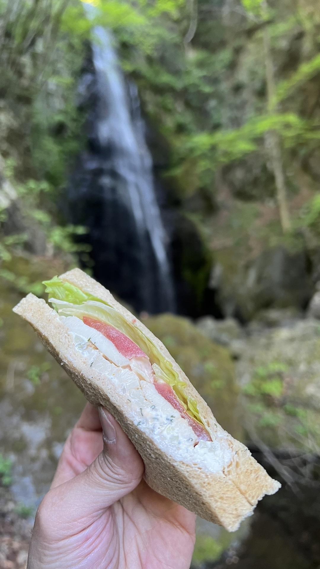 奥多摩ハイカーの仲間入り🎉〜締めは百尋ノ滝・川苔山 / publiusさんの川苔山（川乗山）の活動データ | YAMAP / ヤマップ