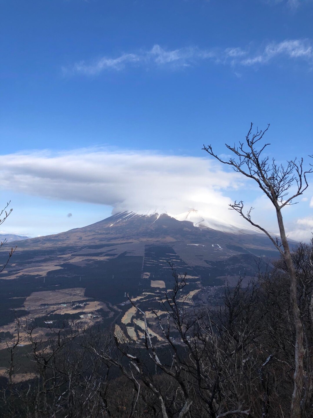 越前岳・黒岳 / sugi.aki.bさんのFUJISAN LONG TRAIL（愛鷹・富士南麓エリア SOUTH）の活動データ | YAMAP / ヤマップ