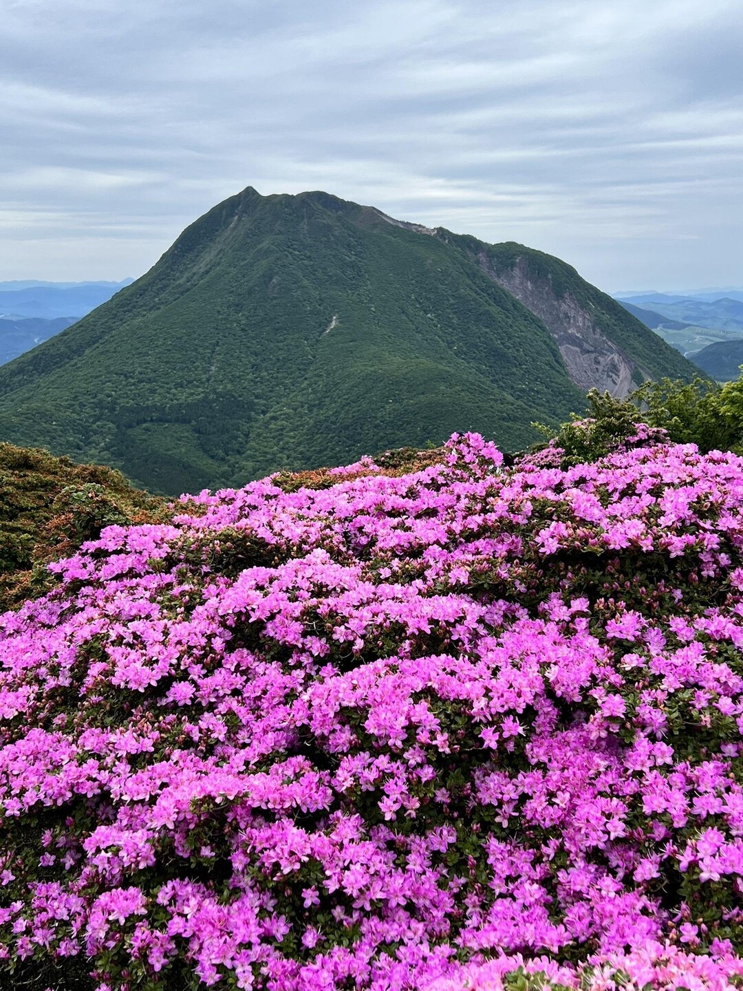 鶴見岳と地獄巡りを観光する / KOZO.Mさんの由布岳・鶴見岳の活動データ | YAMAP / ヤマップ