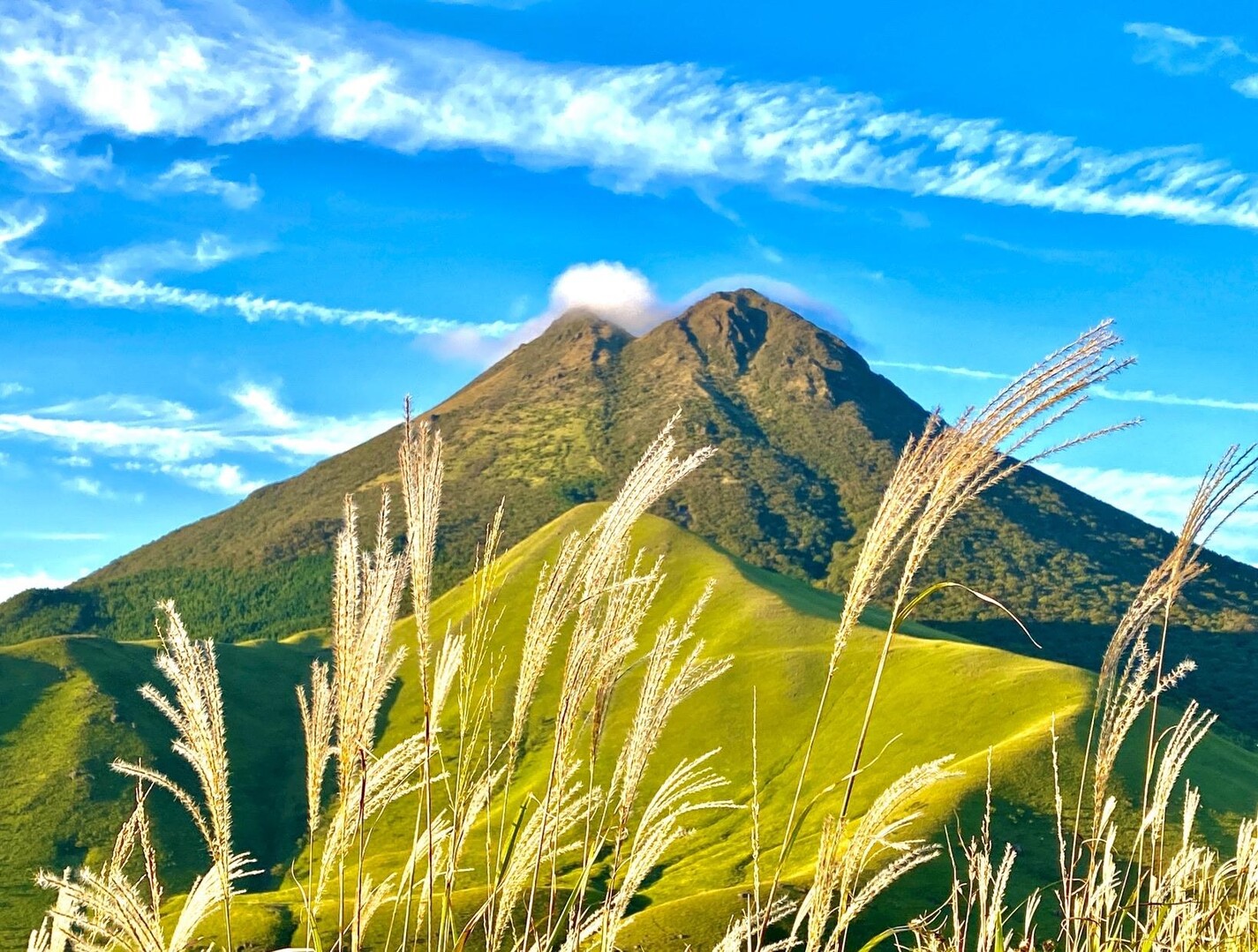 秋、高原に群生したススキのサラサラした... / ケムタク（Kemutaku）さんのモーメント | YAMAP / ヤマップ