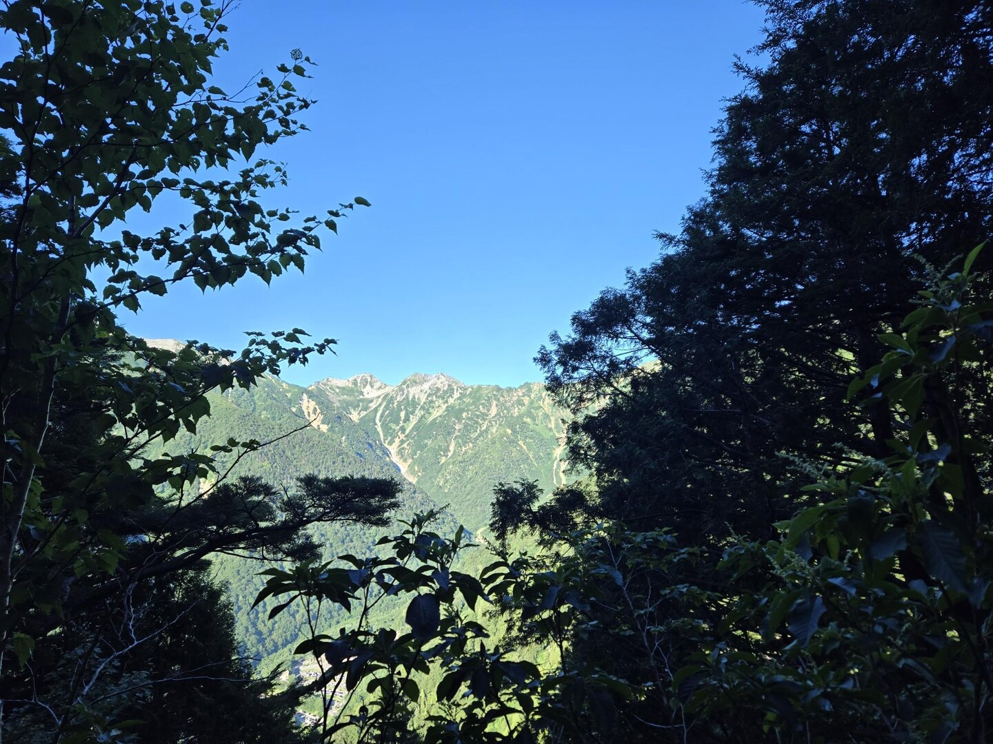 RUさんの投稿したフィールドメモ | YAMAP / ヤマップ