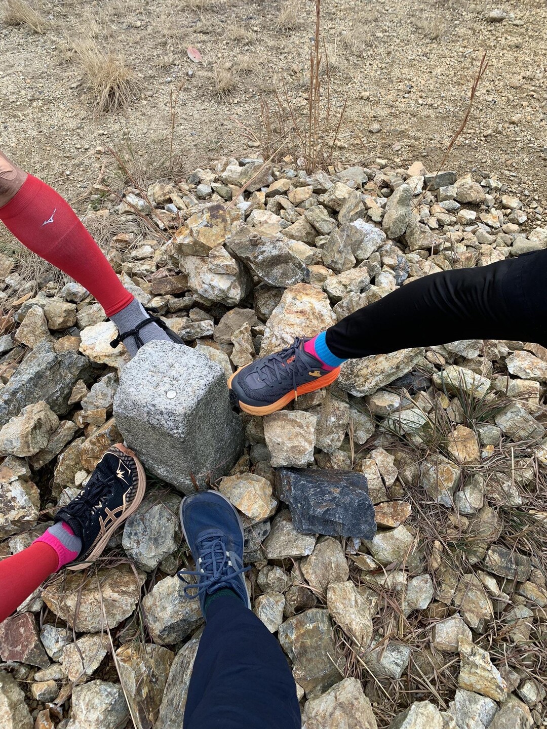 音羽山 / pu_sanさんの音羽山・醍醐山の活動データ | YAMAP / ヤマップ