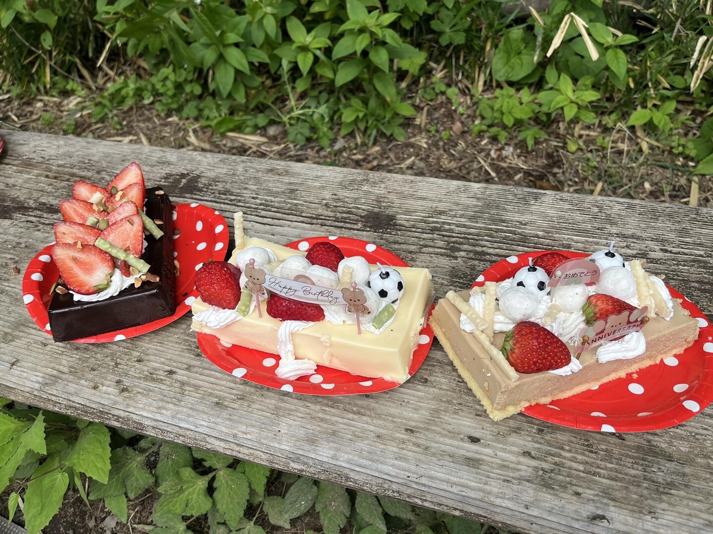 高尾山・城山（小仏城山）・神変山 / ekさんの高尾山・陣馬山・景信山の活動データ | YAMAP / ヤマップ