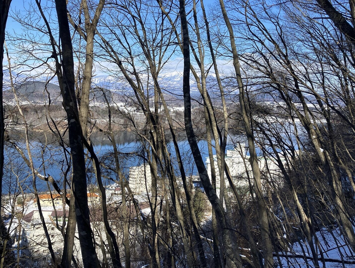 湯ノ館山 / chiさんの南昌山・東根山・箱ヶ森の活動データ | YAMAP / ヤマップ