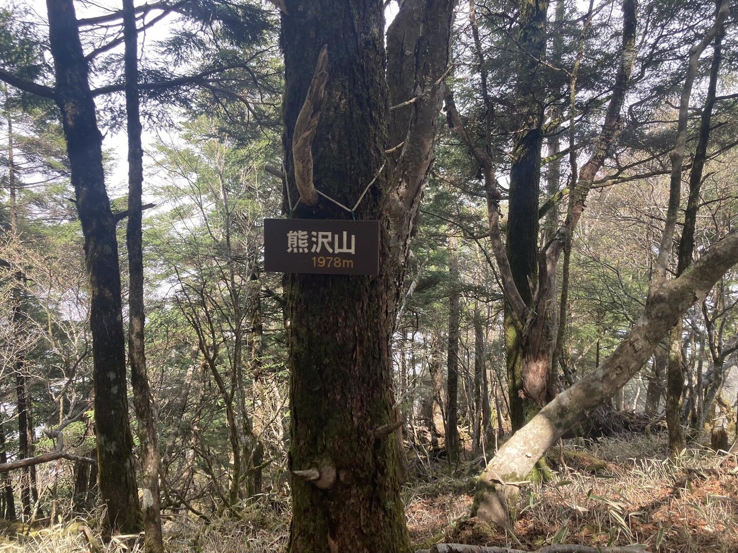 熊沢山 / opoさんの大菩薩嶺・鶏冠山・大マテイ山の活動データ | YAMAP / ヤマップ