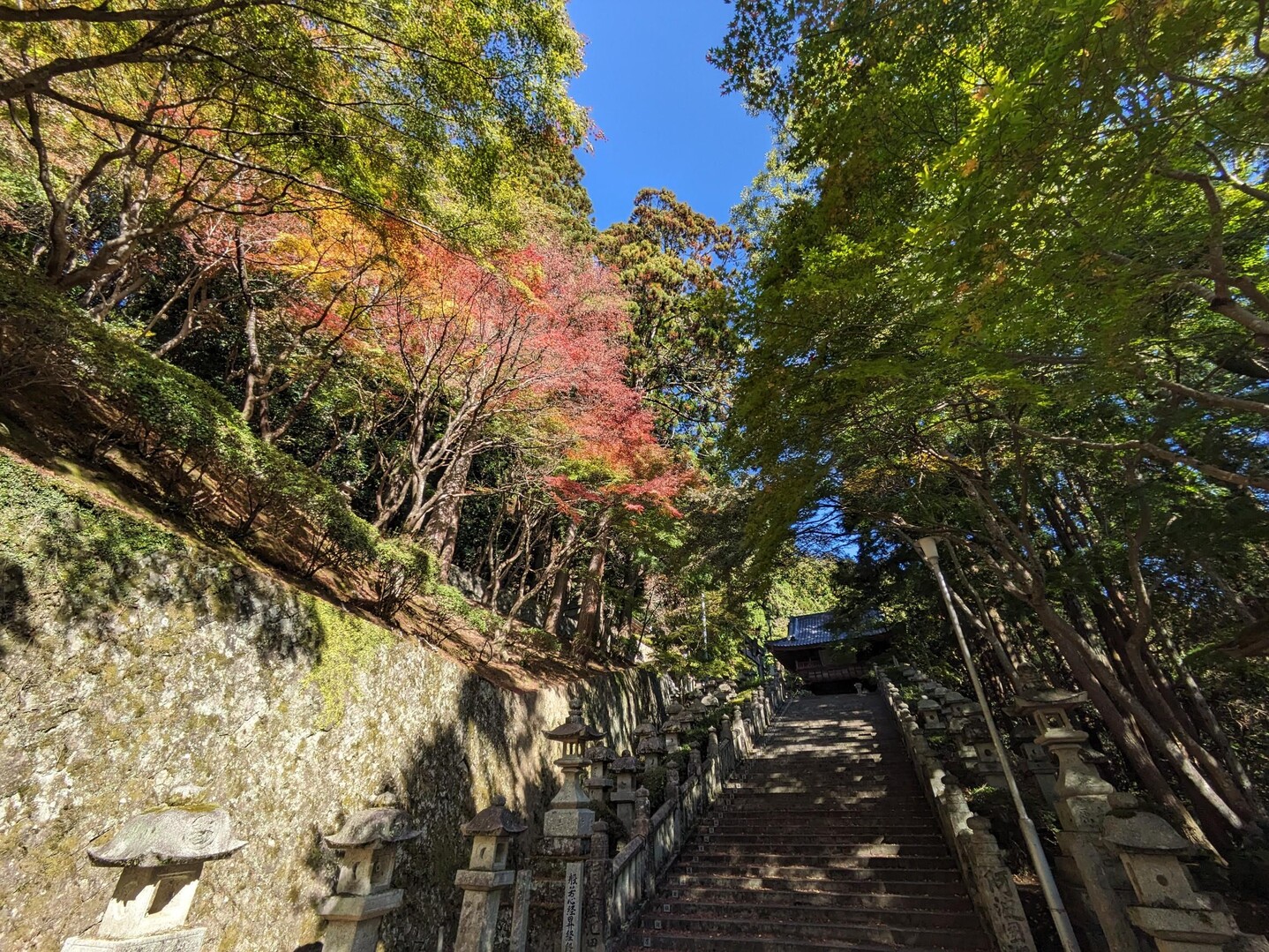 箸蔵山でさまよいました / BIK局長さんの箸蔵山・中寺廃寺跡の活動データ | YAMAP / ヤマップ