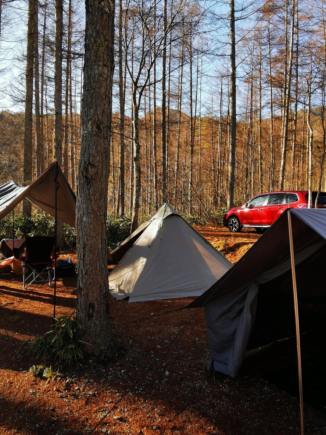 2022.11.26-27 銀河もみじキ... / みきさんのモーメント | YAMAP / ヤマップ