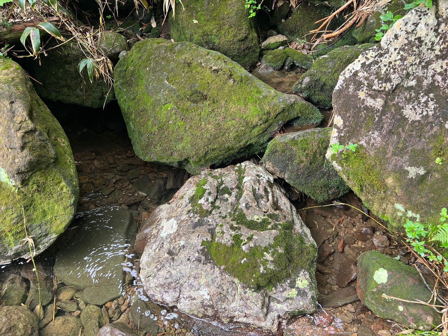 yanagi_outdoorさんの投稿したフィールドメモ | YAMAP / ヤマップ