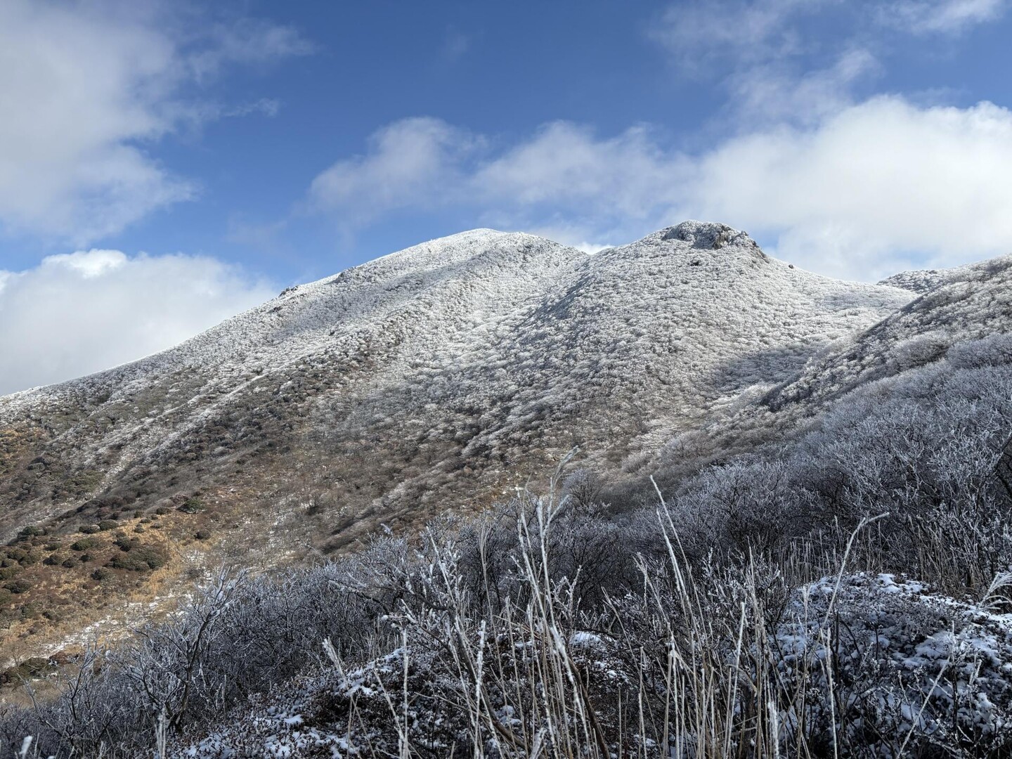 雪のくじゅう山歩 ️ / GGファルカンさんの九重山（久住山）・大船山・星生山の活動データ | YAMAP / ヤマップ