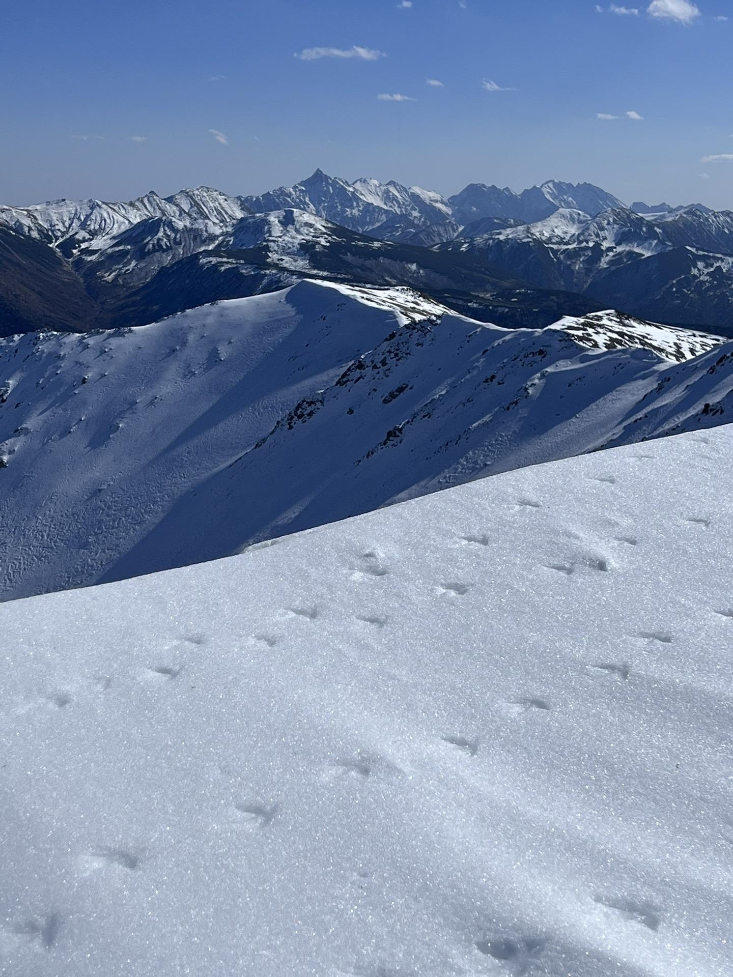 フォトキト2024 偶然にも入賞しまし... / mierinさんのモーメント | YAMAP / ヤマップ
